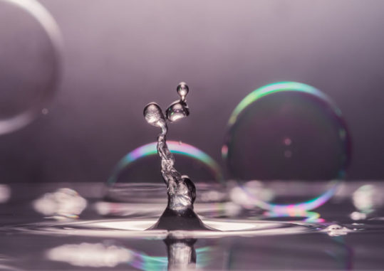 Foto Macro: Equipamentos, Técnicas e Segredos - Guia Completo!