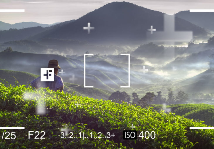 Foco na Fotografia: Como tirar fotos mais nítidas e focadas