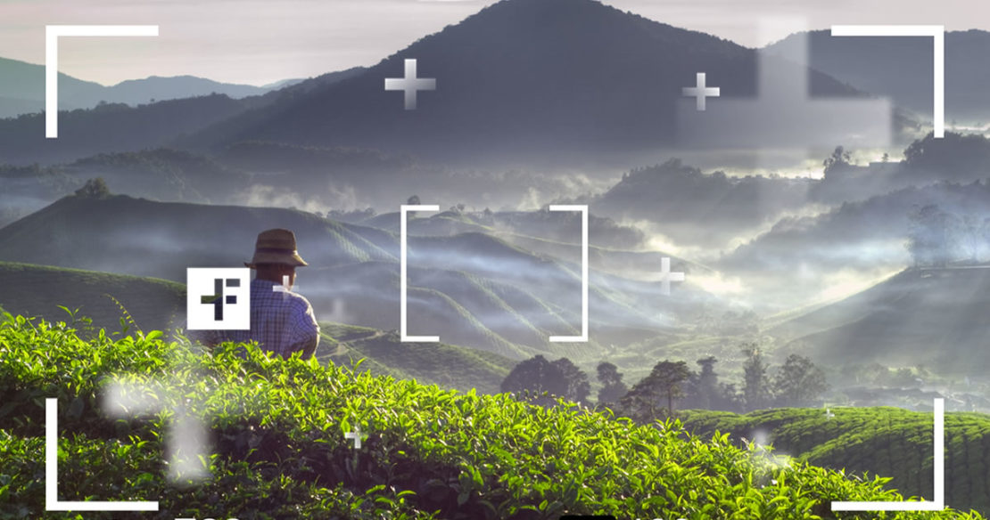 Foco na Fotografia: Como tirar fotos mais nítidas e focadas