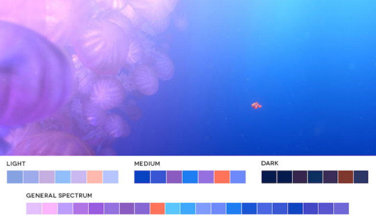 Color Grading: O que é e como aplicar nas suas fotos