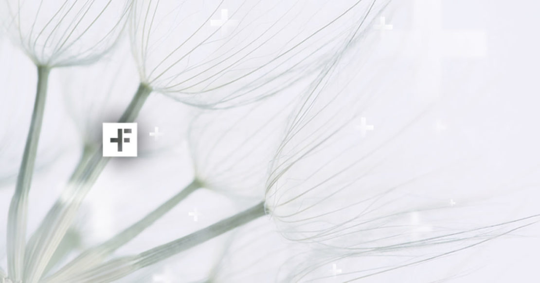 High Key: Conheça essa Técnica e Aprenda Como Criar Imagens Incríveis