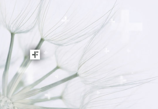 High Key: Conheça essa Técnica e Aprenda Como Criar Imagens Incríveis